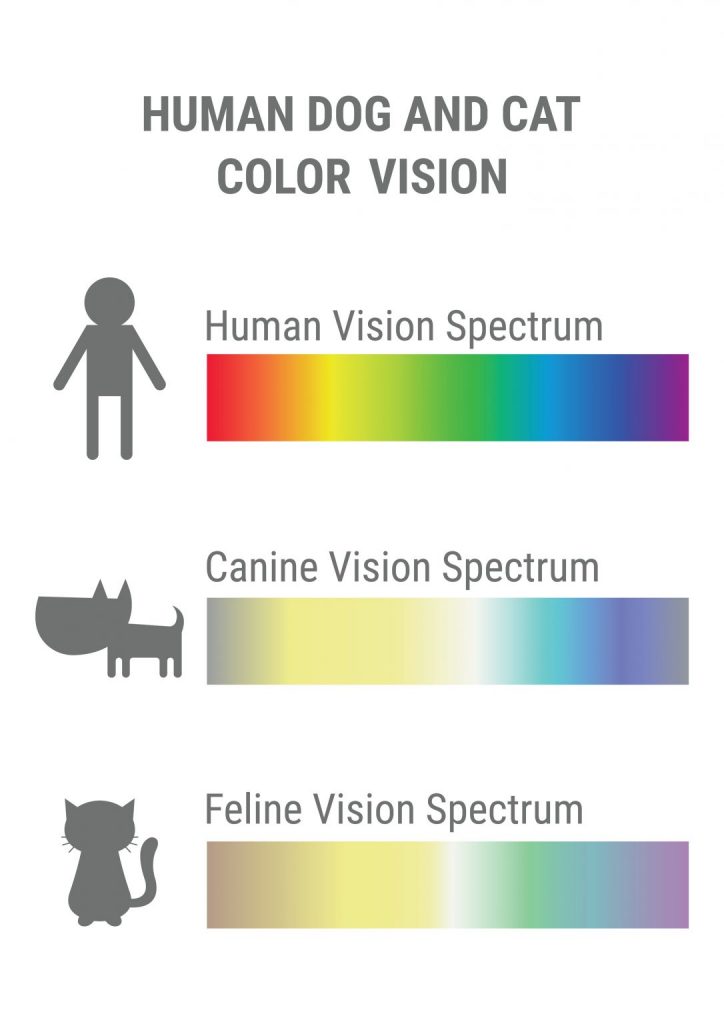  Color Display 8 Color Perception A Journey Towards Bright Colors