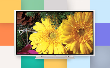 [REPLAY THE DISPLAY] VOL.18 Era of Super-large PDP! XYZ Projects ...