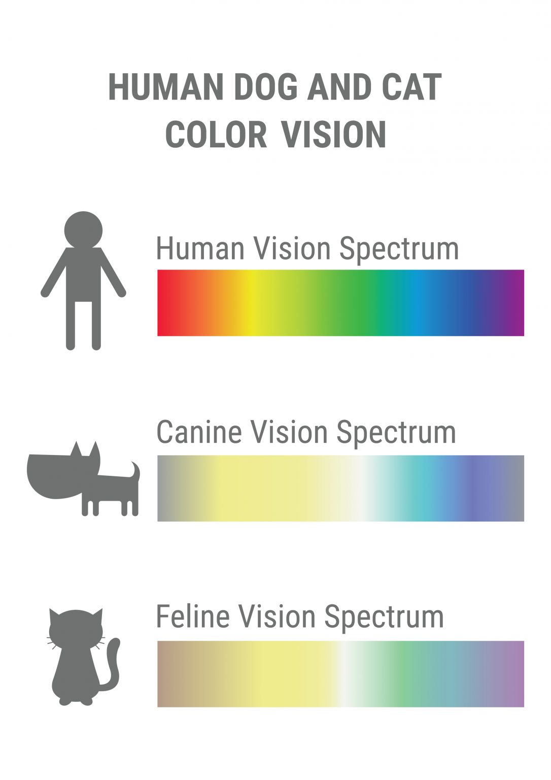 Blind People Eye Color